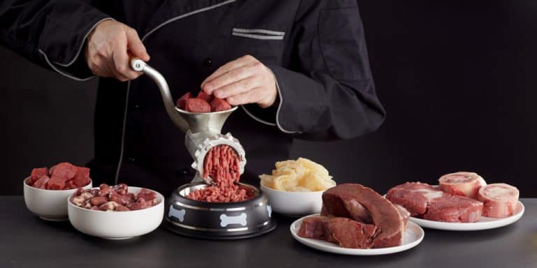 7 Best Meat Grinders for Bones [ 2022 Reviews ]
