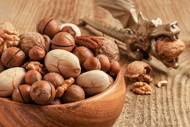 7 Best Nut Choppers for Almonds, Walnuts & Peanuts [ 2022 Reviews ]